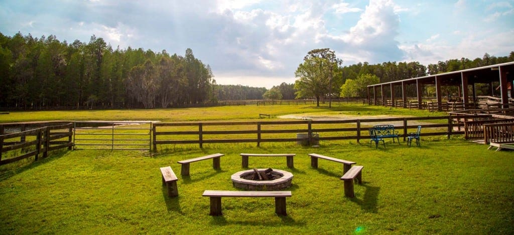 Quantum Leap Farm – Horses and Healing