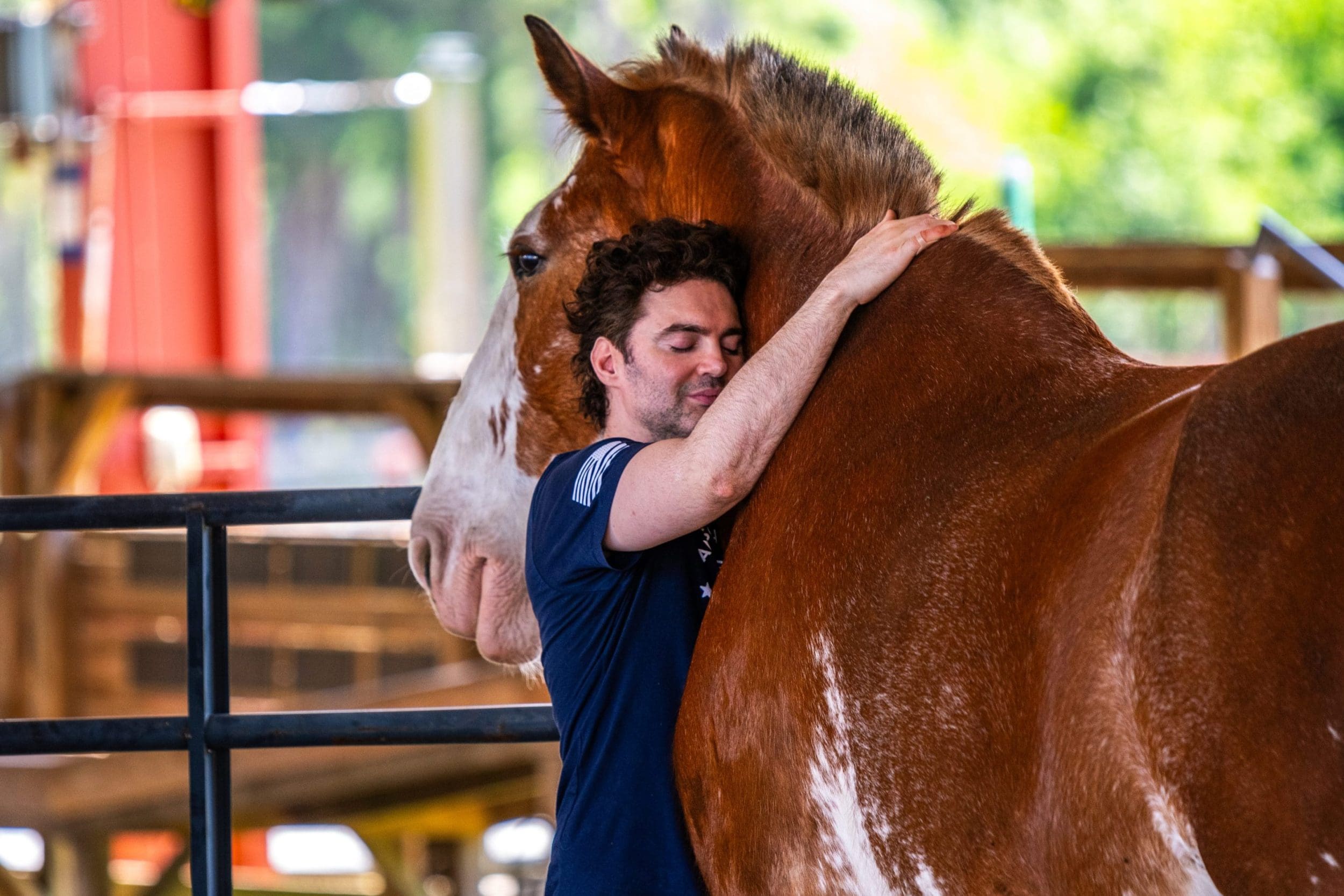 Quantum Leap Farm – Horsepower for the Soul