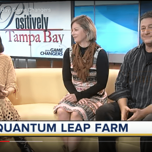 Quantum Leap Farm – Horsepower for the Soul