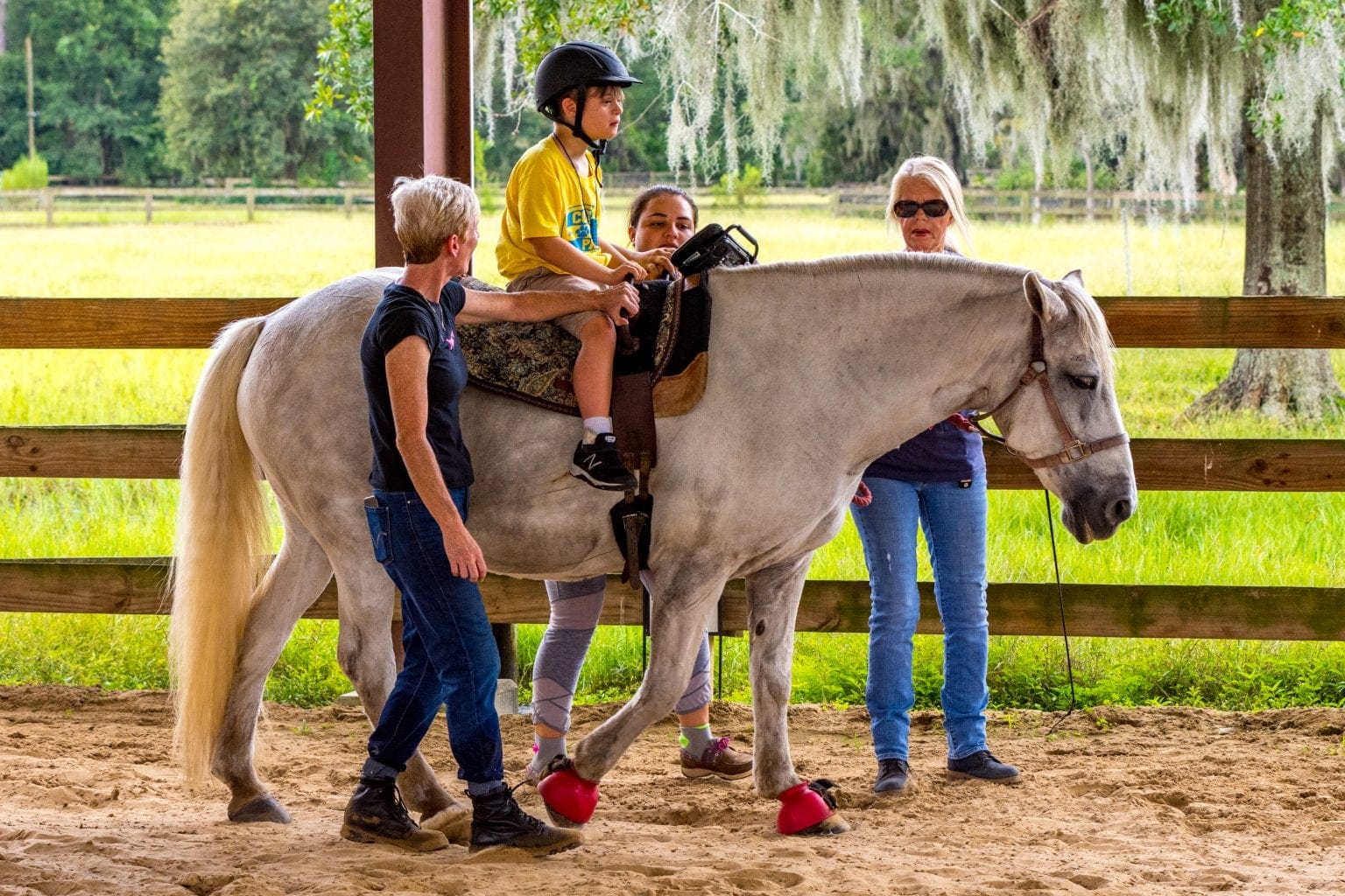 Volunteer – Quantum Leap Farm