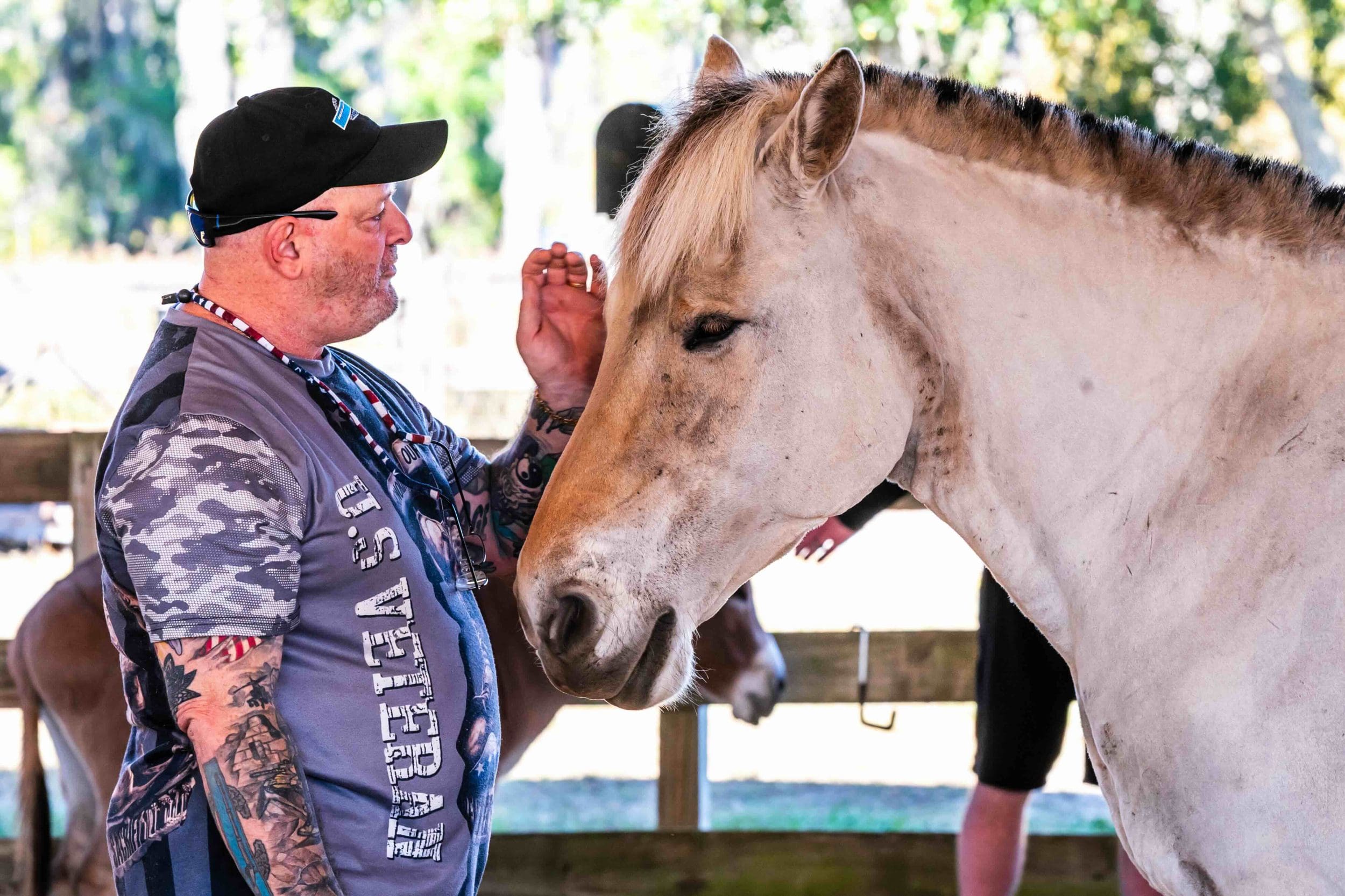 Quantum Leap Farm – Horsepower for the Soul